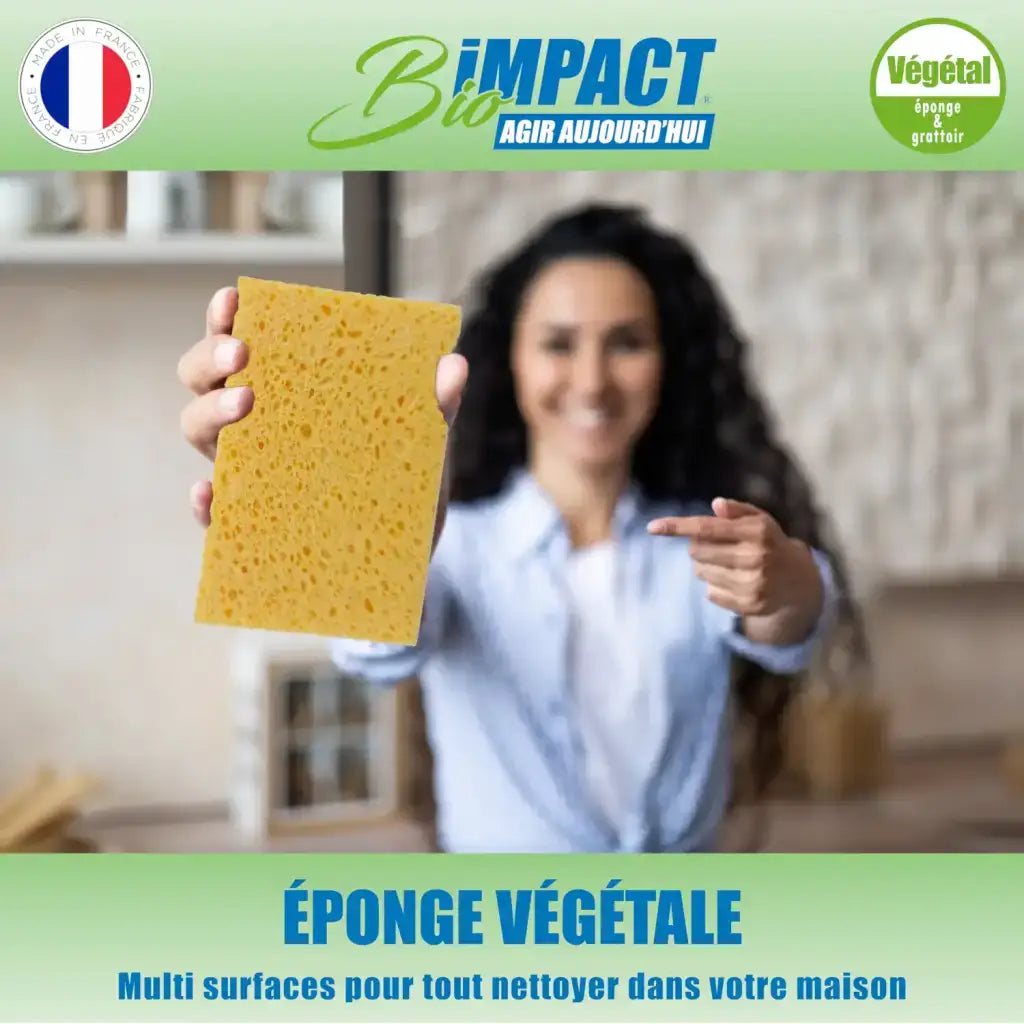 Eponge Végétale et Grattante - Lot de 6 - Made in France | Bioimpact ...